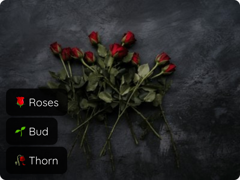 Rose Bud Thorn Meaning at William Emery blog